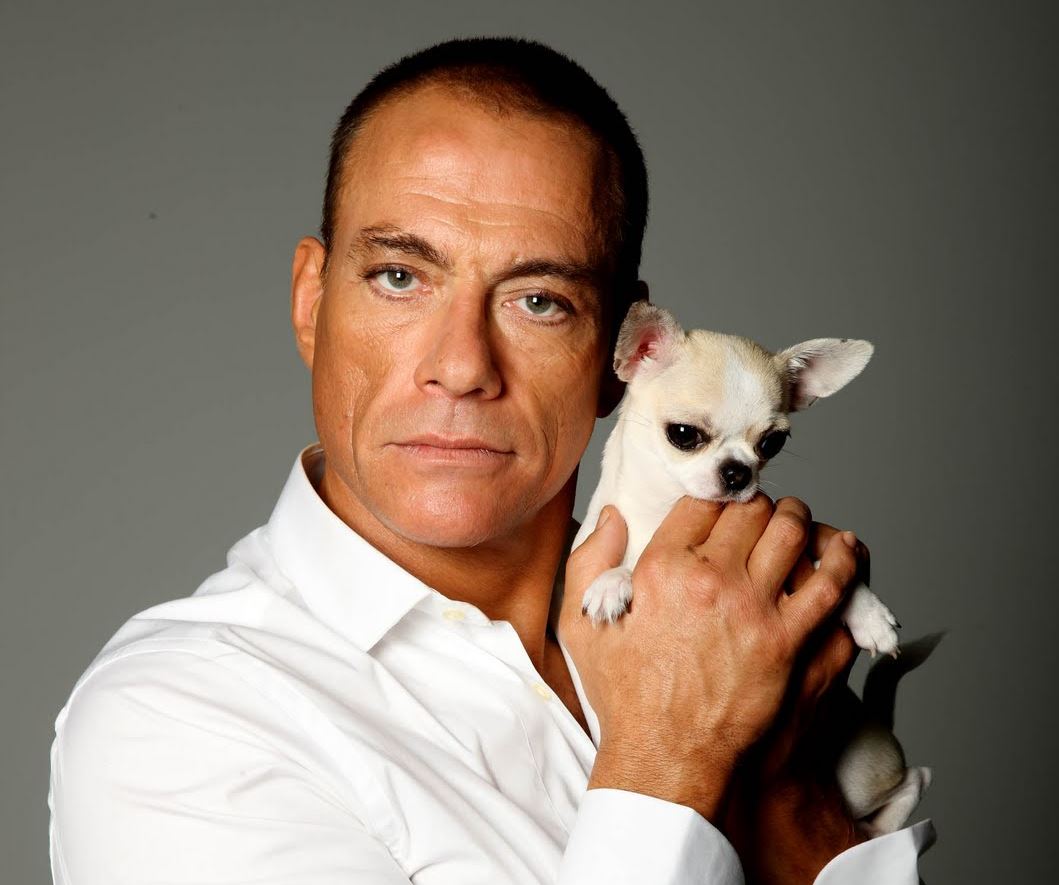 INTERVIEW: THE MYSTERY MAN BEHIND ‘VAN DAMME FRIDAY’ SPEAKS - Action A ...